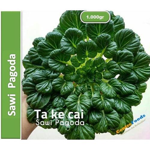 Jual Sayur Sawi Pagoda - Tatsoi Ta Ke Chai | 1.000gr [ Harga Per KG ...