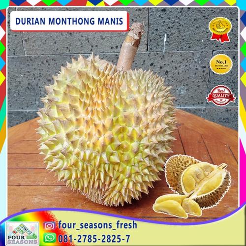 Jual PILIHAN DURIAN MONTONG ASLI PALU MANIS DAGING TEBAL 1 BIJI 4 KG - Kota Surabaya - FOUR ...