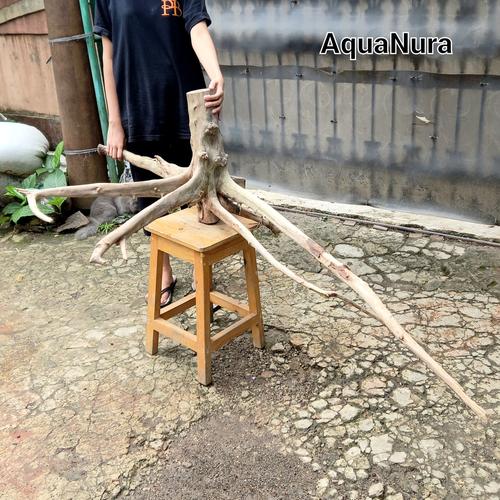 Jual kayu laut drift wood kl 1414 aquascape aquarium - Kota Tangerang ...