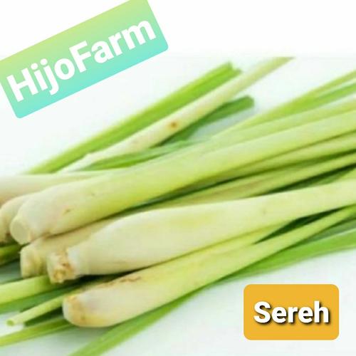 Jual Daun Sereh Segar 500 gr - Kota Malang - Hijofarm | Tokopedia