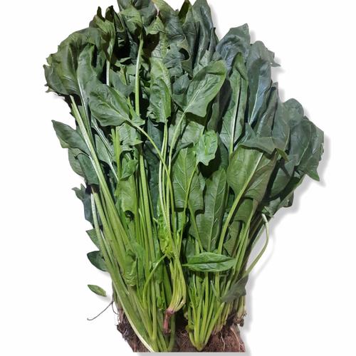 Jual horenzo / pocai 500 gram - Jakarta Pusat - Pak Sayur | Tokopedia