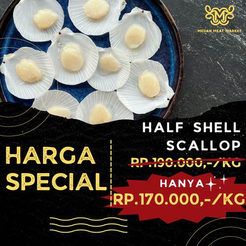 Jual SCALLOP (KERANG SIMPING) / FROZEN HALF SHELL SCALLOP 500 GRAM - 1 ...