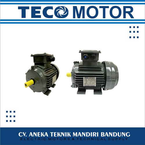 Jual TECO INDUCTION MOTORS / TECO ELECTRO DINAMO MOTORS / MESIN INDUSTRI / ELECTRIC MOTOR ...