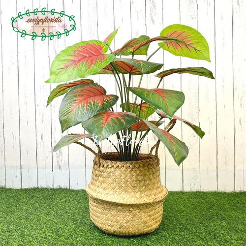 Jual Pohon Bahagia Merah X18 Artificial Cover Purun Belly Tanaman ...