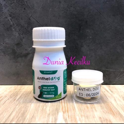 Jual Anthel Dog Kalbe Farma Obat Cacing Anjing per Tablet - Kota ...