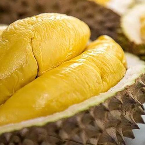 Jual DURIAN MONTHONG PALU FRESH/DURIAN UTUH/DURIAN BULAT/PREMIUM QUALITY - Kota Tangerang - LJS ...