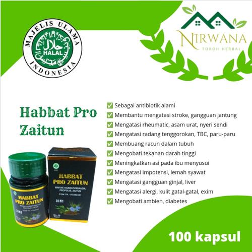 Jual Habbat Pro Zaitun 3 IN 1 isi 100 Kapsul Produk Original - Kab ...
