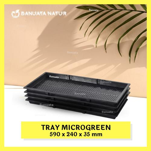 Jual Tray Microgreen Hitam Tray Rumput Gandum Berkualitas - Banuata ...