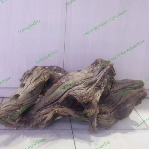 Jual kayu aquascape karakter - kayu laut mirip santigi - Jakarta Barat ...