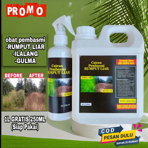 Jual Spray Cairan Pembasmi RUMPUT LIAR,ILALANG,GULMA 1L GRATIS 250ML ...
