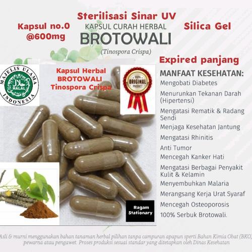 Jual Kapsul herbal jamu obat Brotowali broto wali curah isi 100 butir ...