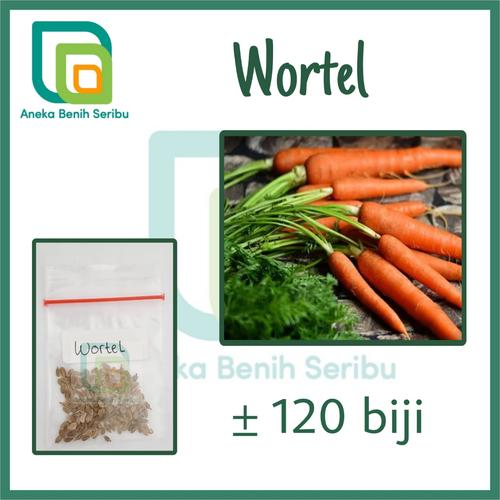 Jual 120 Benih Wortel Kuroda EW Select - Bibit Sayuran Repack [ SERIBU ...