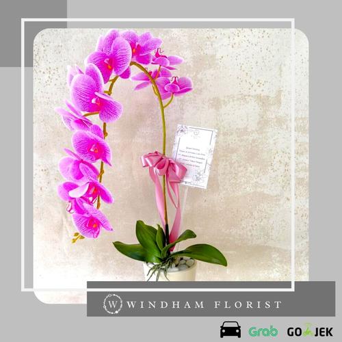 Jual Anggrek Bulan| Bunga Meja | Rangkaian Bunga - Jakarta Utara ...