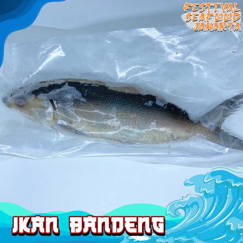 Jual Ikan bandeng cabut duri 1Ekor (Bersih tulang dan duri) Bandeng ...