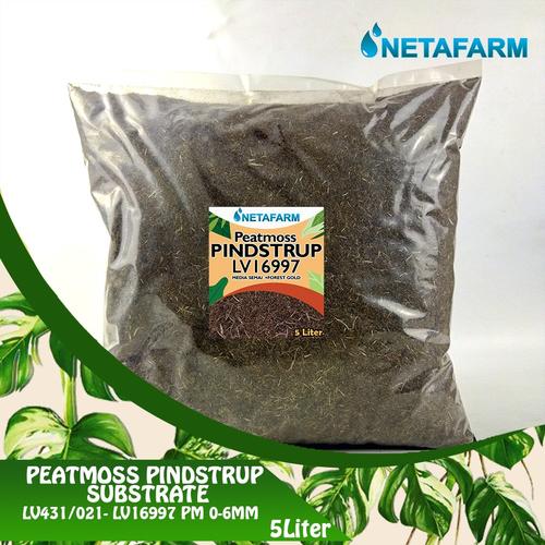Jual PINDSTRUP LV16997 Media Tanam Peatmoss Semai Hidroponik - 5 ltr ...