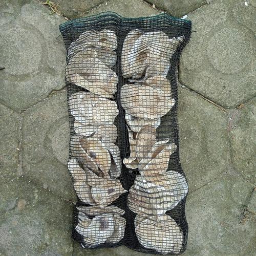 Jual OYSTER SHELL KULIT KERANG KEMAS 1KG MEDIA FILTER KOLAM DAN ...