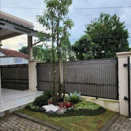Jual Pembuatan taman minimalis dan pohon pule atau lame - Kab. Bogor ...