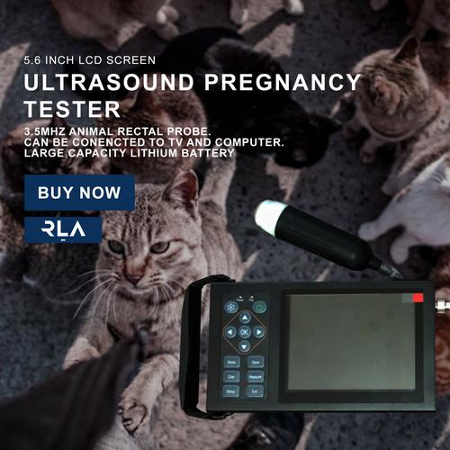 Jual USG Kucing - Ultrasound Kehamilan Kandungan Hewan - Test ...