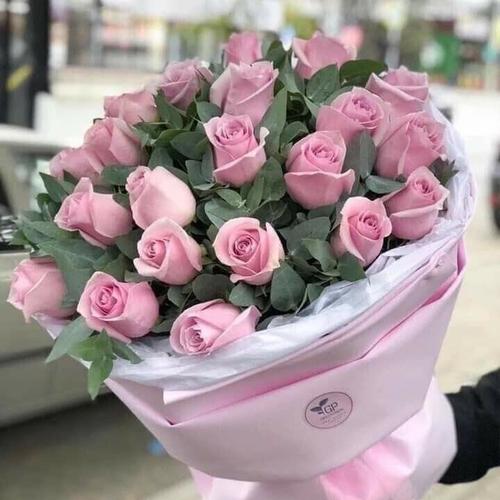 Jual The Lilac Simple Korean Roses Bouquet Bucket Buket Bunga Wisuda ...