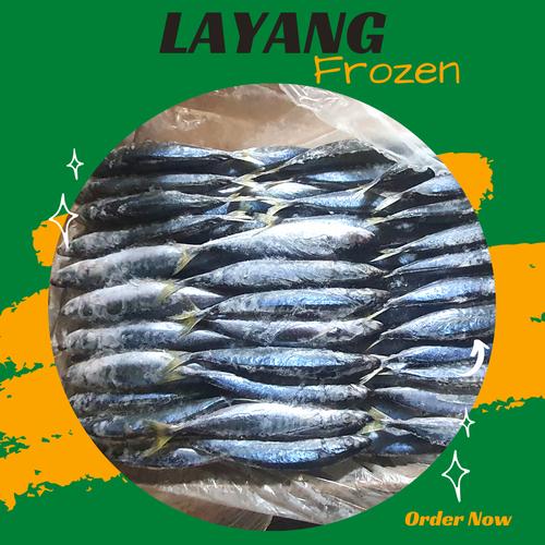 Jual IKAN LAYANG SEGAR / LAYANG FRESH / IKAN FROZEN BEKU 500 gr dan 1 ...