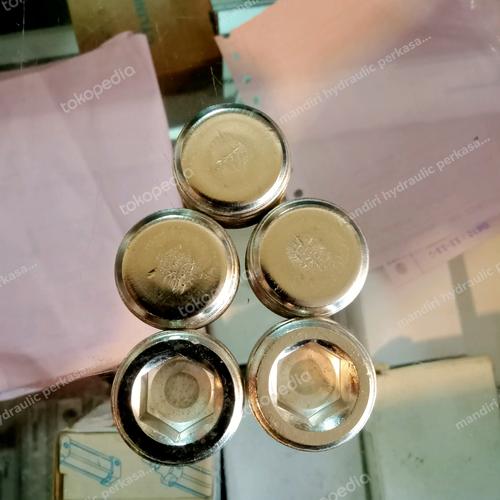 Jual BAUT L PLUG 3/4" inch NPT - Jakarta Barat - mandiri hydraulic ...