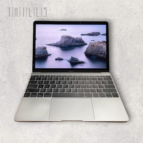Jual MacBook Retina 12-inch Early 2015 Space Gray 500GB - Laptop Apple ...