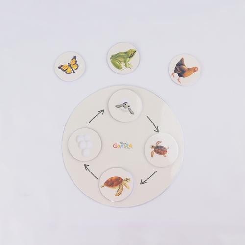 Jual Busy Page Life Cycle Siklus Hidup - Mainan Edukasi Anak Activity ...