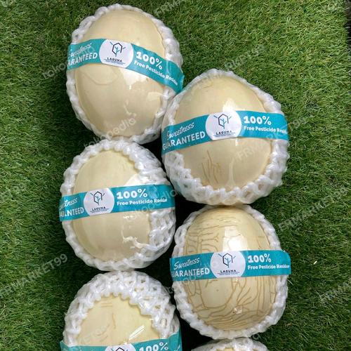 Jual melon laguna sweet | melon kulit putih super manis | pcs - Jakarta ...