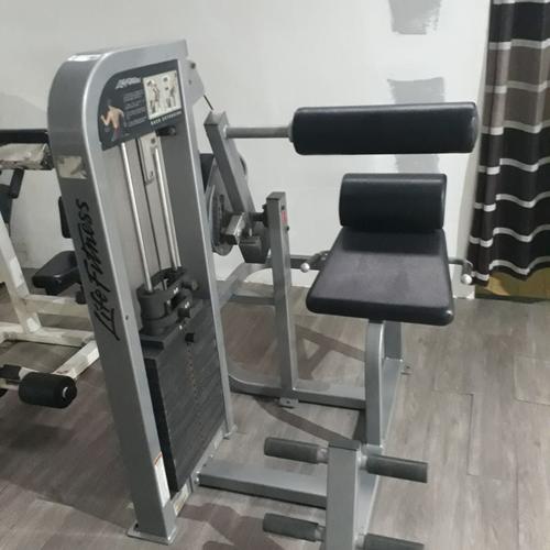 Jual Life Fitness Triceps Curl & Back Extension - Kota Tangerang ...