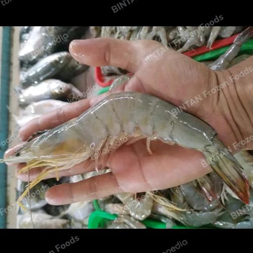 Jual UDANG PECI BESAR SEGAR FRESH 1 KG - 1/4 kg - Kota Tangerang ...