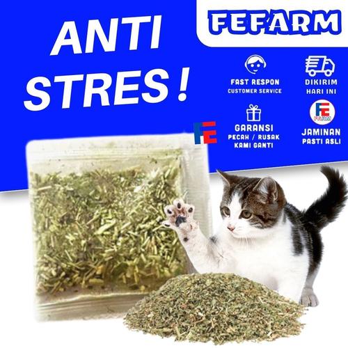 Jual Daun Catnip Bubuk Sachet untuk Kucing 1 Gram FEFARM - Kab ...
