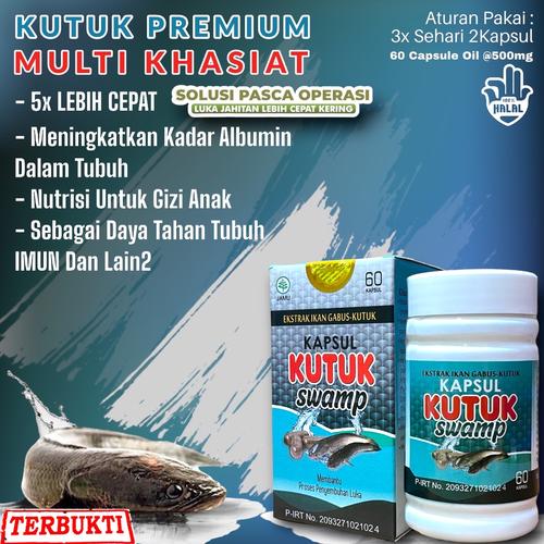 Jual Kapsul Ekstrak Kutuk Sehat Sentosa Isi 60 - Ikan Gabus - Ikan Kutuk - Kota Surabaya ...
