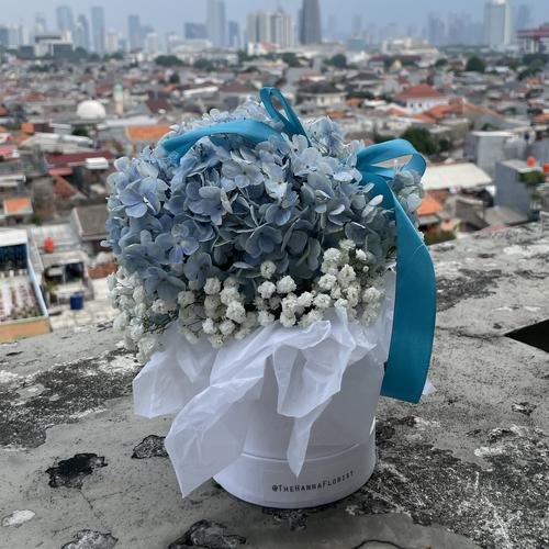 Jual Hydrangea Small Box Bloom Bouquet Bucket Bunga Segar Fresh Flower ...