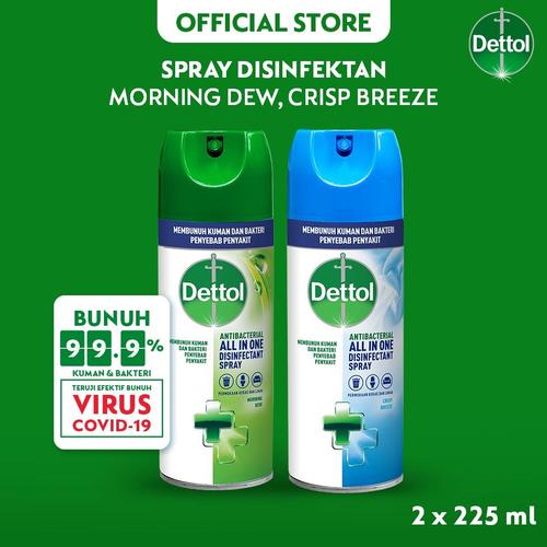 Jual Dettol Disinfectant Spray Morning Dew 225ml + Dettol Disinfectant - Package - Jakarta Barat ...