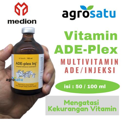 Jual Vitamin Sapi Kambing Domba ADE Plex Inj Multivitamin Daya Tahan ...
