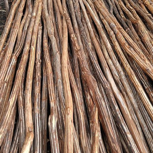 Jual Dolken kupas kayu puspa - Kab. Bogor - MUDA JAYA MANDIRI KAYU ...