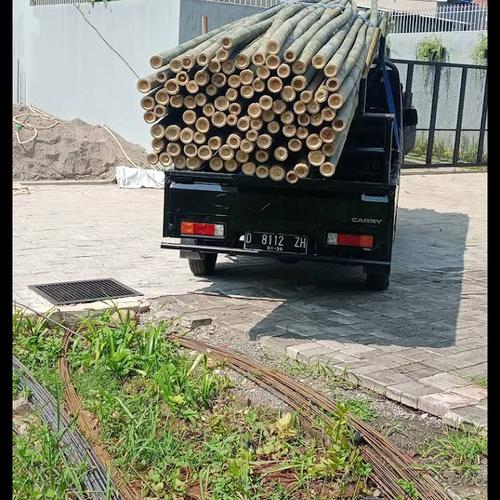Jual bambu steger 6 7 8 cm panjang -+6meter - Kota Tangerang Selatan ...