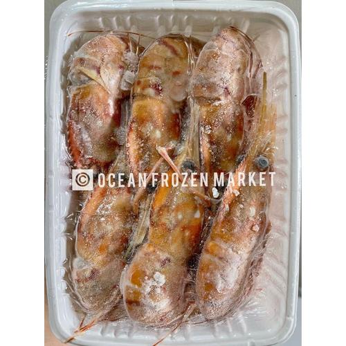 Jual Premium Frozen Botan Ebi Jepang XL Jumbo Prawn Udang - JUMBO ...
