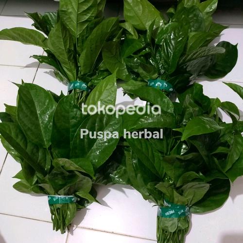 Jual sayur daun leilem fresh organik 100% - Kota Bogor - Puspa herbal ...