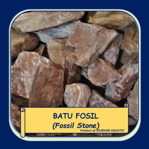 Jual ORNAMEN AQUASCAPE - BATU FOSIL / FOSSIL STONE - 1Kg - Jakarta ...