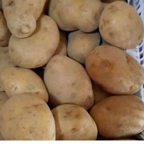 Jual kentang dieng 1kg/kentang besar/kentang super/kentang mentah ...