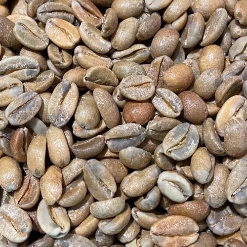 Jual Panama Geisha Nano Lot 97 CCD 2022 Green Beans - Jakarta Barat ...