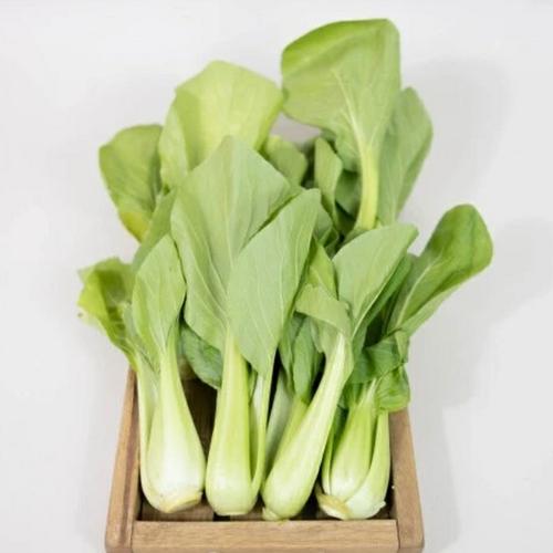 Jual pakcoy segar 1kg/pakcoy/sawi hijau/ pak choy/tokopedia now/sayur ...