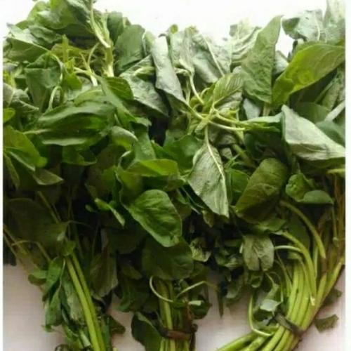 Jual bayam segar 1ikat/bayam hijau/bayam/sayur hijau/sayur segar ...