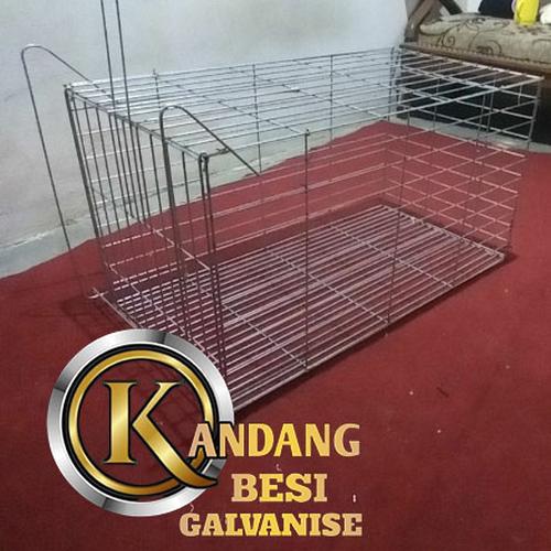 Jual peraangkap musang lipat galvanis/ jebakan hewan/ayam hutan ...