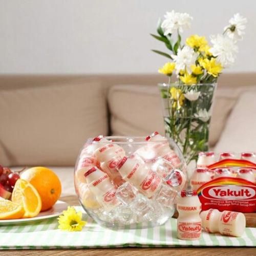 Jual Susu Yogurt Yakult 1 pack Minuman Probiotik Fermentasi Fresh Segar ...