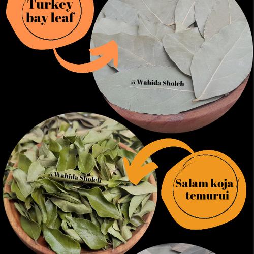 Jual daun salam koja daun kari kering bay leaf turkey temurui - Salam ...
