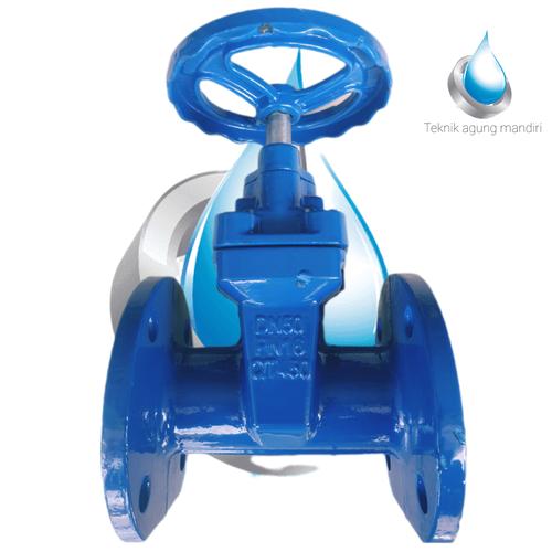 Jual Gate valve pn 16 2" inch | Gate valve DCI 2" inch flange pn16 ...