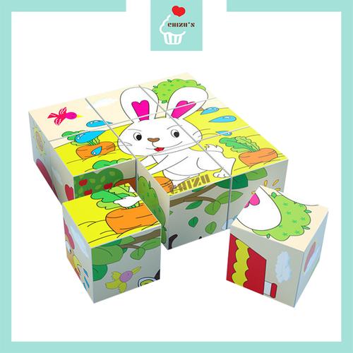 Jual Six Sided Cube Puzzle 9 Pcs | Block Puzzel Kubus 3D 6 Enam Sisi ...