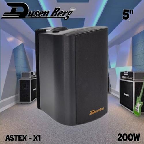 Jual SPEAKER PASIF DUSENBERG 5 INCH ASTEX 1 COCOK UNTUK CAFE RESTO ...